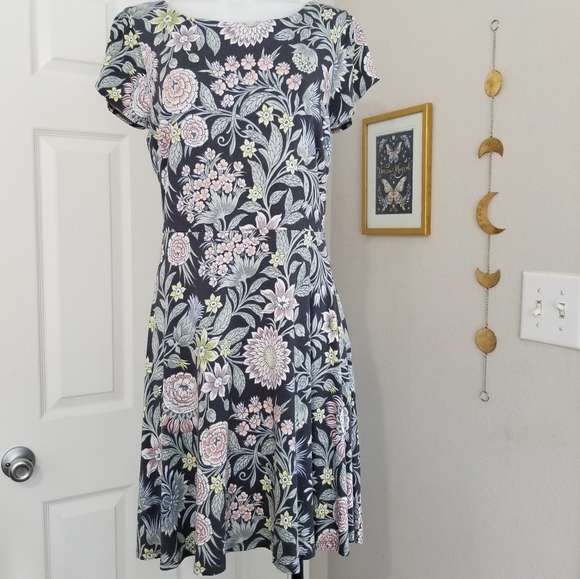 LOFT | Dresses | Loft Cap Sleeve V Back Swing Dress Lp Nwt Floral ...